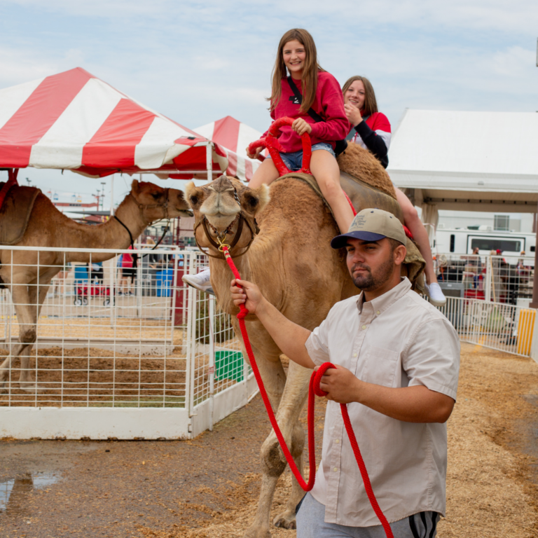 Hedrick's Camel and Pony Rides | Nebraska State Fair